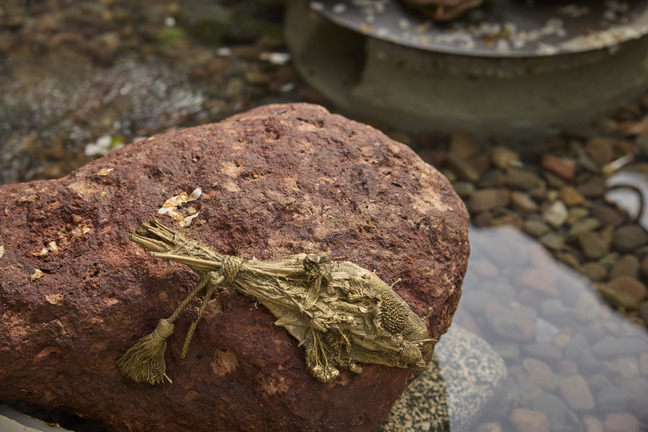Water Sprouts and Remains (an unfolding) – John Michael Kohler Arts Center
