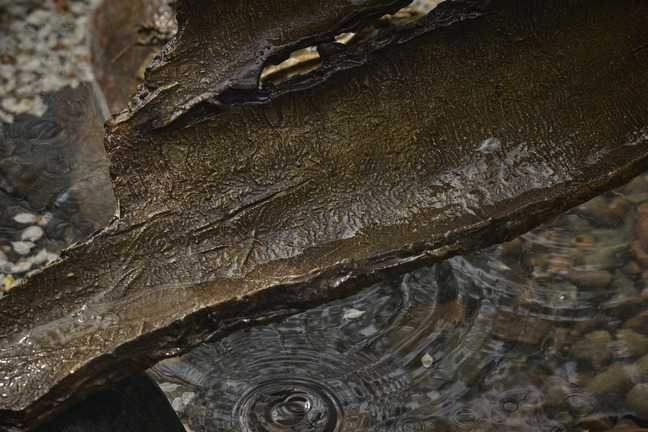 Water Sprouts and Remains (an unfolding) – John Michael Kohler Arts Center