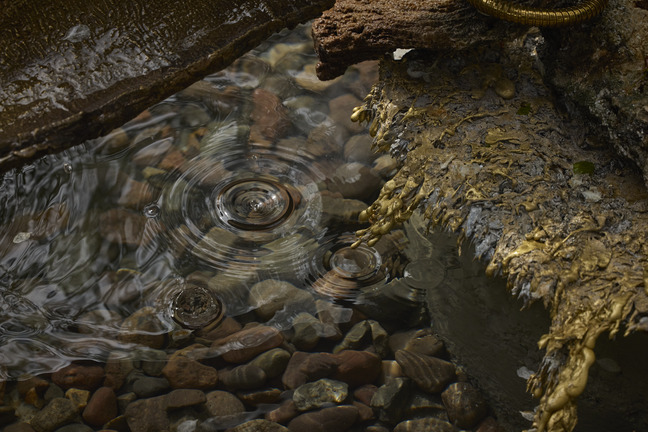 Water Sprouts and Remains (an unfolding) – John Michael Kohler Arts Center